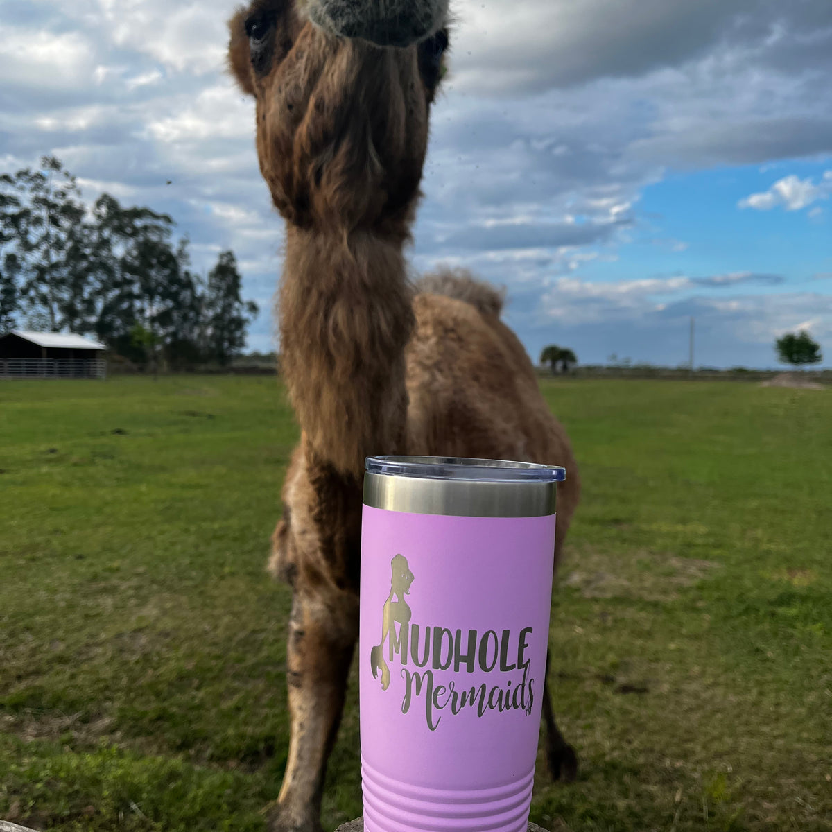 MUDHOLE MERMAID TUMBLER COLLECTION – Stack Life Family